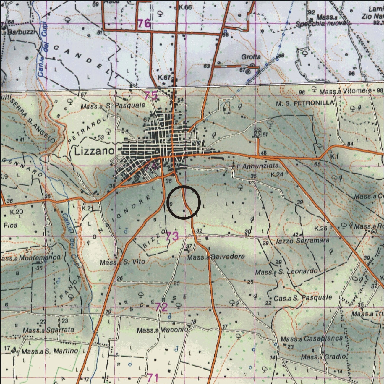 202619 LIZZANO (Copertura deposito) — IGM E-Commerce Site